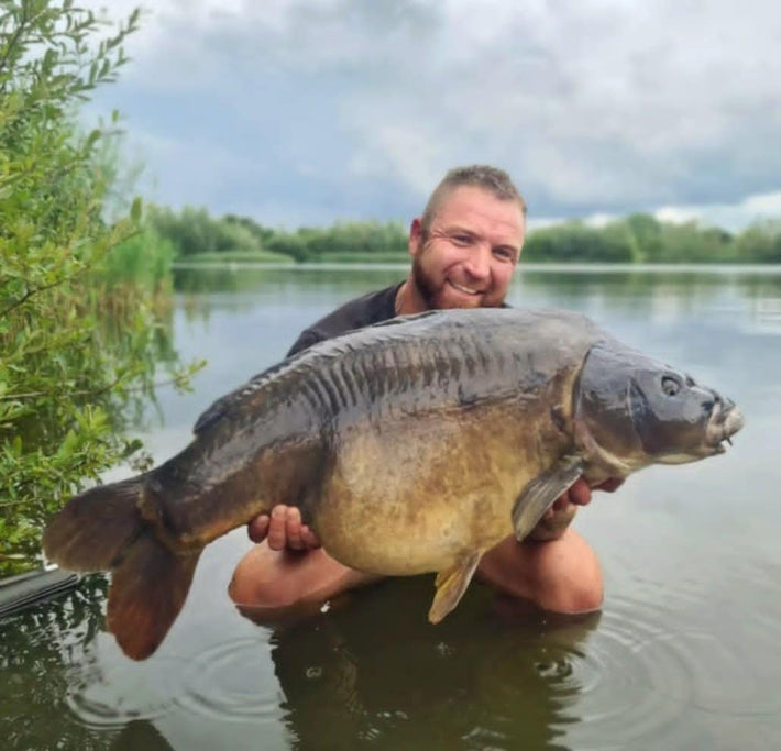 Fish it baits - rolled to perfection – Fish It Baits